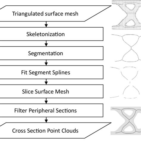 Segmentation Operation A Curve Skeleton B Connectivity Degrees Of