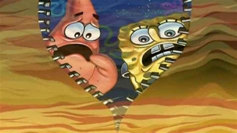 ویدیو ‌برگر اشتراک ویدیو رایگان