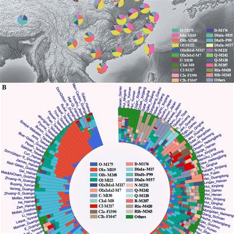 Distribution Patterns Of Y Chromosome Haplogroups In Modern