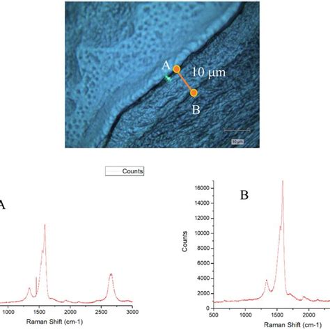 Raman Spectra Of A Control Group And B Samples Treated With Carbon