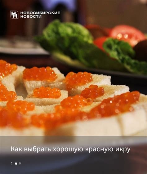 Как выбрать красную икру читайте ниже Инфографика Новосибирские