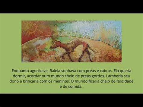 ContaÇÃo De HistÓria Baleia E As Vidas Secas Youtube