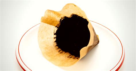Cone Vs Flat Coffee Filter Which Is The Best