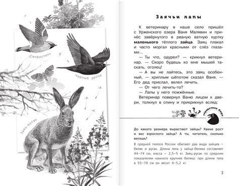 «заячьи лапы» краткое содержание для читательского дневника по сказке ...