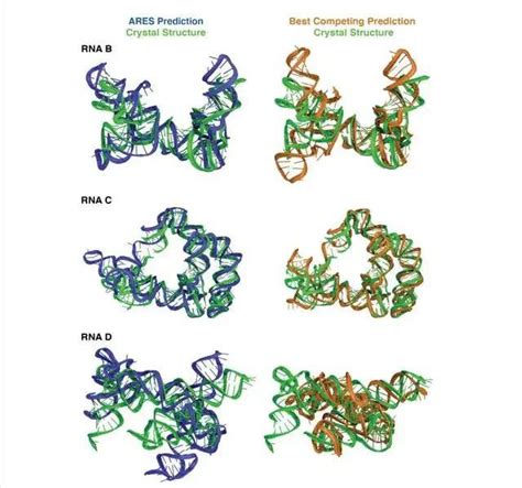 斯坦福团队ai算法精准预测rna三维结构，论文为science当期封面 训练样本