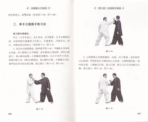 太极拳入门初步大家都来练太极（附dvd）武术气功太极养生保健新架一路老架入门图解陈氏太极全书拳形意拳书籍拳法套路书籍八卦掌虎窝淘