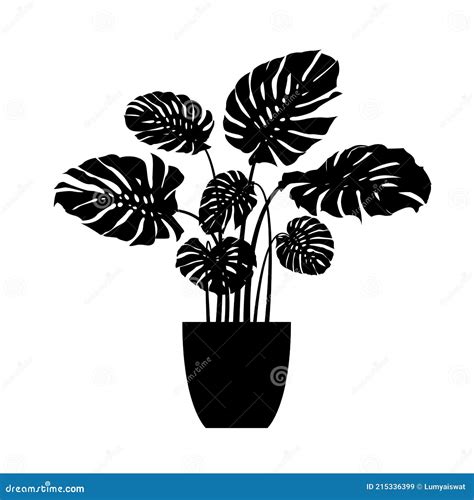 蒙斯特拉盆栽植物矢量图侧面影像 向量例证 插画 包括有 自然 例证 内部 徽标 平面 房子 215336399