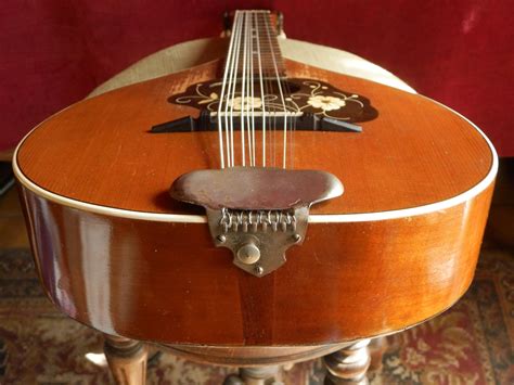 Mandriola Or 12 String Mandolin