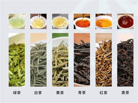 Budaya Teh Cina Asal Usul Jenis And Tradisi 2026