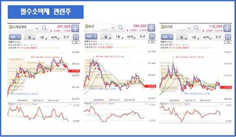 인플레이션 수혜주 정리 및 전망