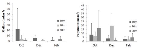 Epifaunal Groups Spirorbid Mollusc Ascidians And Polychaetes On Download Scientific Diagram