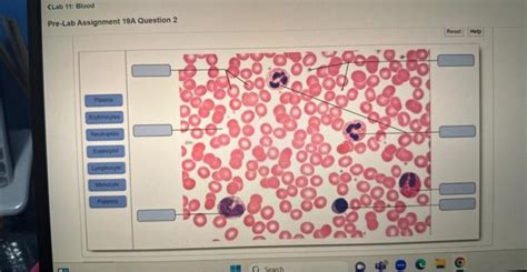 Solved Pre Lab Assignment 19A Question 2 Chegg