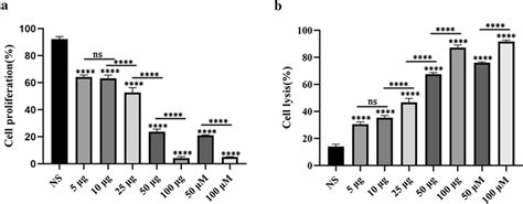 Effects On The Proliferation And Toxicity Of Mg 63 Cells Treated With