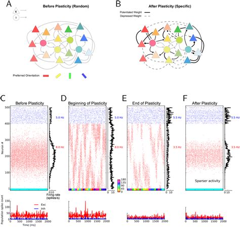 Simulating The Effect Of Synaptic Plasticity In Balanced Random