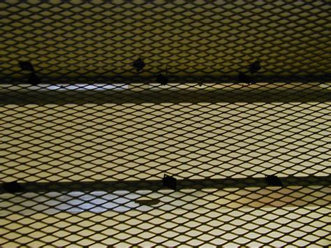 Amico Security Products Security Mesh