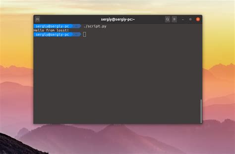 Запуск Python скрипта в Linux Losst