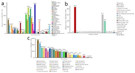 Targeting Cd24 In Cancer Immunotherapy
