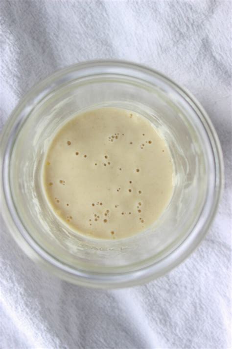 Making Sourdough Starter From Scratch