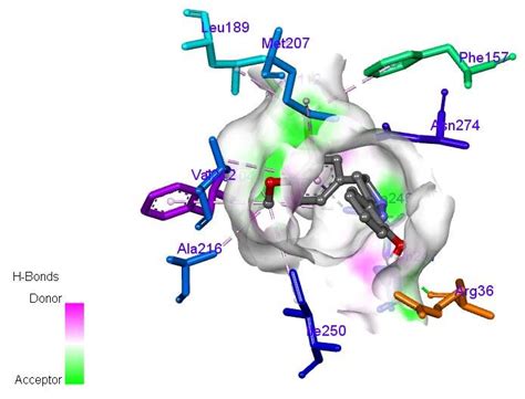2d And 3d Interactions Of A Native Ligand B Compound 1 C Compound