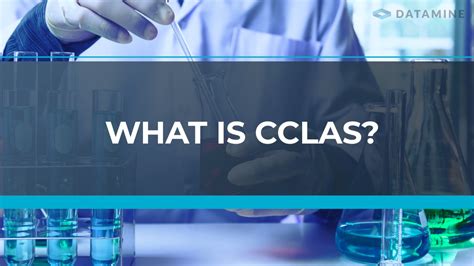 Mau Alcantara On Linkedin Dion Introduces Datamine Cclas Lims