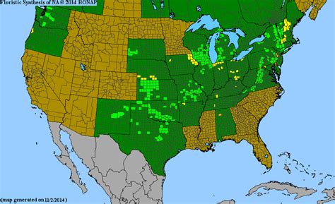 2013 Bonap North American Plant Atlas Taxonmaps