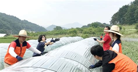 소상공인시장진흥공단 농촌 일손돕기 사회공헌