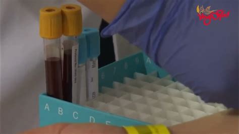 Tlt Tv စင်္ကာပူမှာကိုဗစ်ကာကွယ်ဆေးကြောင့် ပထမဆုံးအနေနဲ့ လူသေဆုံးမှုဖြစ်ပွား Youtube