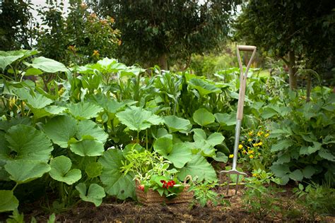 Introduction To Permaculture Pahiatua Course Full Reap Wairarapa