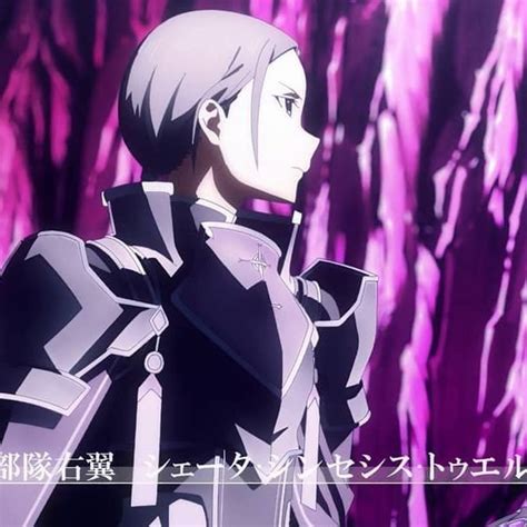 𝑆𝑐𝒉𝑒𝑡𝑎 Wiki Sword Art Online Sao Amino