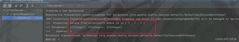 Mybatis查询数据库 Csdn博客
