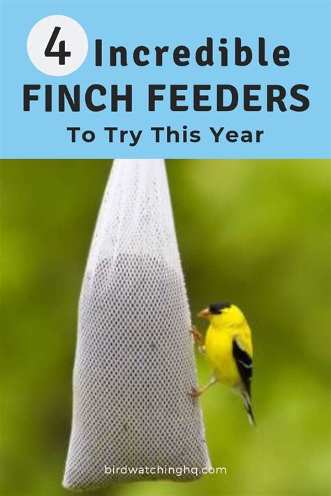 The 4 Best Finch Feeders In My Backyard 2022 Finch Feeders Bird