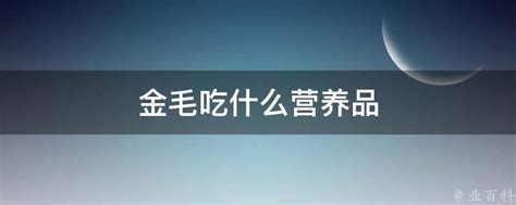 金毛吃什么营养品 业百科