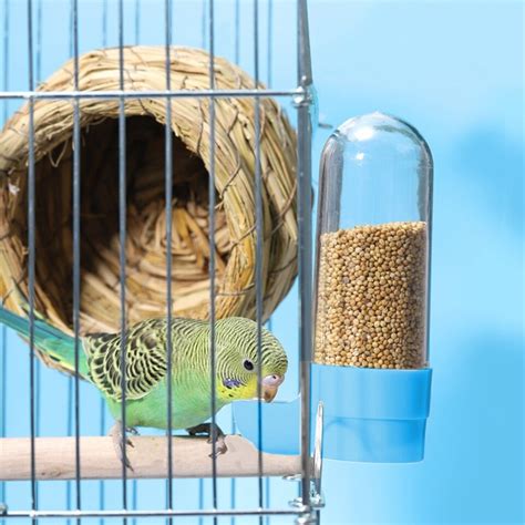 Automatic Bird Feeder Naps General Store