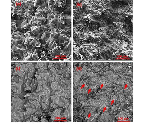 Sem Secondary Electron Micrographs From Fracture Surfaces Of A Alloy