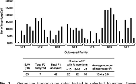 Figure 1 From Efficient Genome Wide Mutagenesis Of Zebrafish Genes By