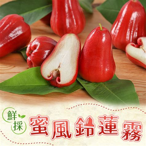 愛上生鮮 鮮採蜜風鈴蓮霧1234箱爽脆多汁 產地直送 水果 鮮果 禮盒3台斤箱廠商直送 蝦皮購物