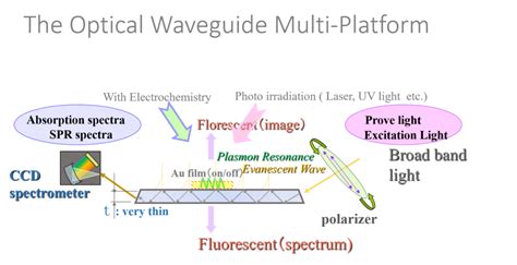 Principle Of Optical Waveguide Spectroscopy│suninternational Coltd