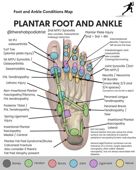 Faraz Sethi On Linkedin 🔴 Plantar Foot And Ankle 🔴 Another