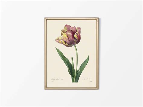 Tulip Trove Prints