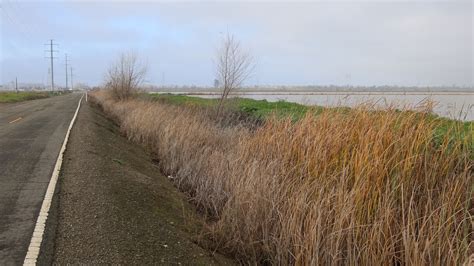 Sutter Bypass Wildlife Film Yuba Sutter
