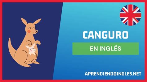 C Mo Se Dice Canguro En Ingl S Aprende A Escribir Kangaroo Pronunciaci N En Ingles
