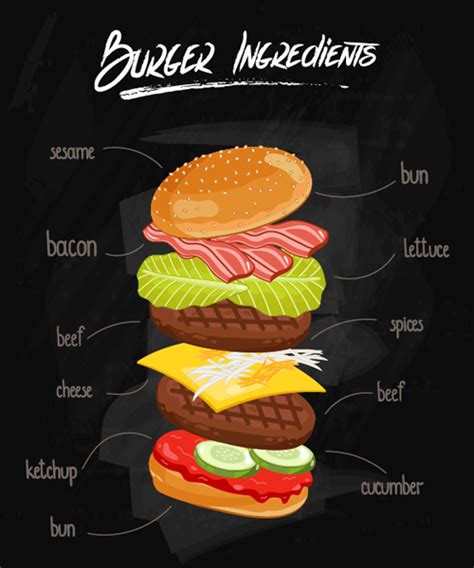 Burger Ingredients Design Vector 06 Free Download