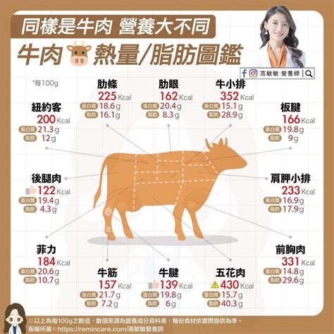 同是牛肉吃它特胖各部位熱量圖鑑曝光 beanfun