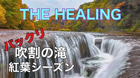 群馬県の紅葉名所吹割の滝東洋のナイアガラTHE HEALINGドローン男子空撮 YouTube