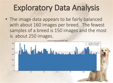 9 Project Ideas For Your Data Analytics Portfolio 2022 Riset