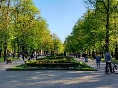 Весільна фотосесія у Франківську Локації для розпису