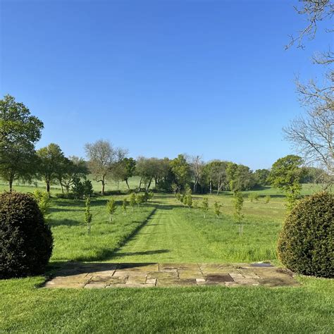 Tree Planting Services Hampshire Tree And Plant Specification