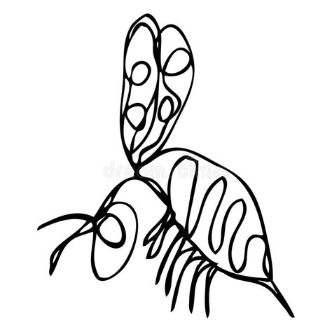 Sketch Sugeng Stock Illustrations 41 Sketch Sugeng Stock