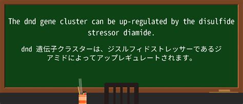 【英単語】gene Clusterを徹底解説！意味、使い方、例文、読み方 おもしろい英文法