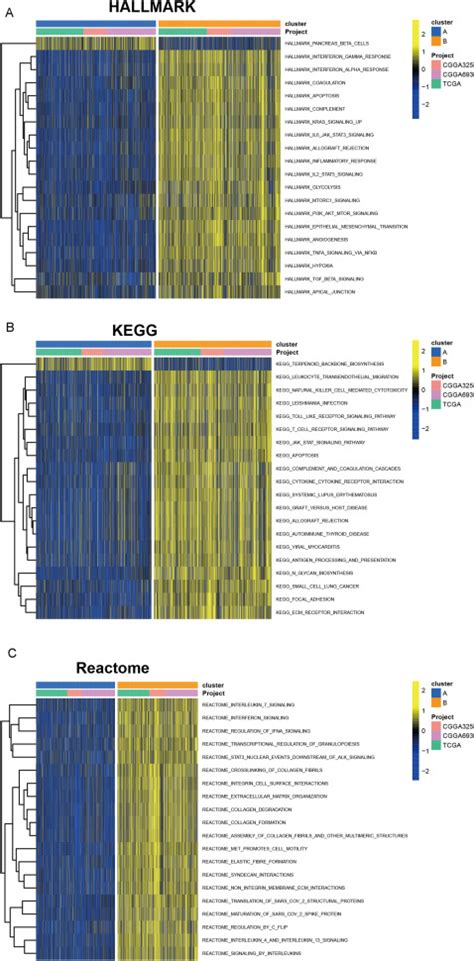 Integrated Single Cell And Bulk RNA Sequencing Data Reveal Molecular Subtypes Based On